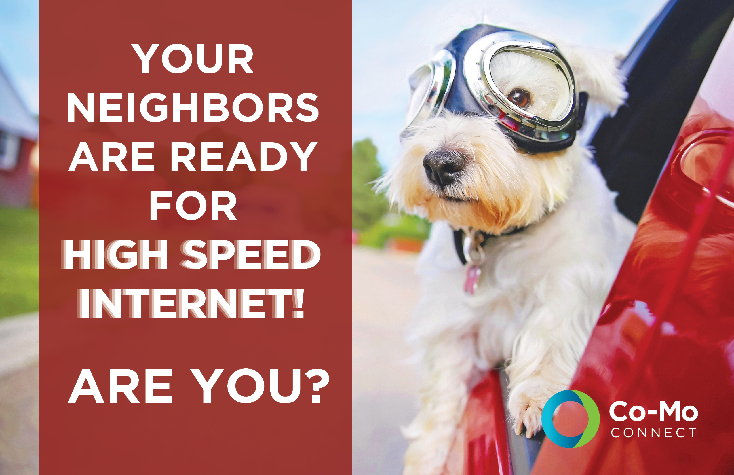 High Speed Dog Postcard FRONT - Co-Mo Connect
